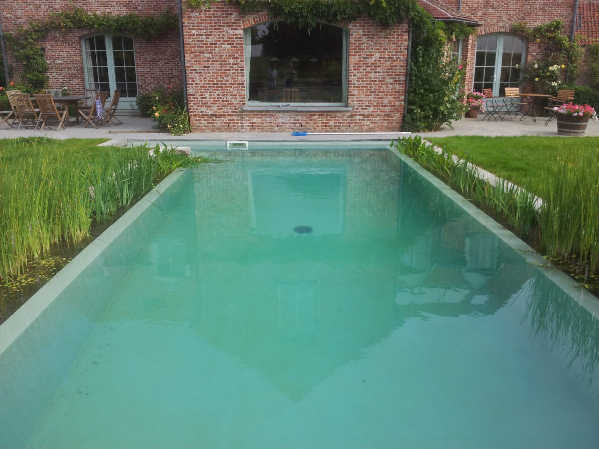 ACCUEIL - AQUATIC DESIGN CONCEPT ET GARDEN