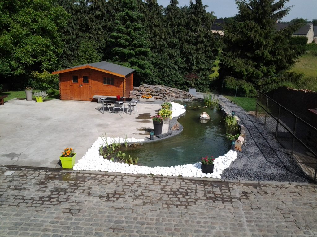 bassin - AQUATIC DESIGN CONCEPT ET GARDEN